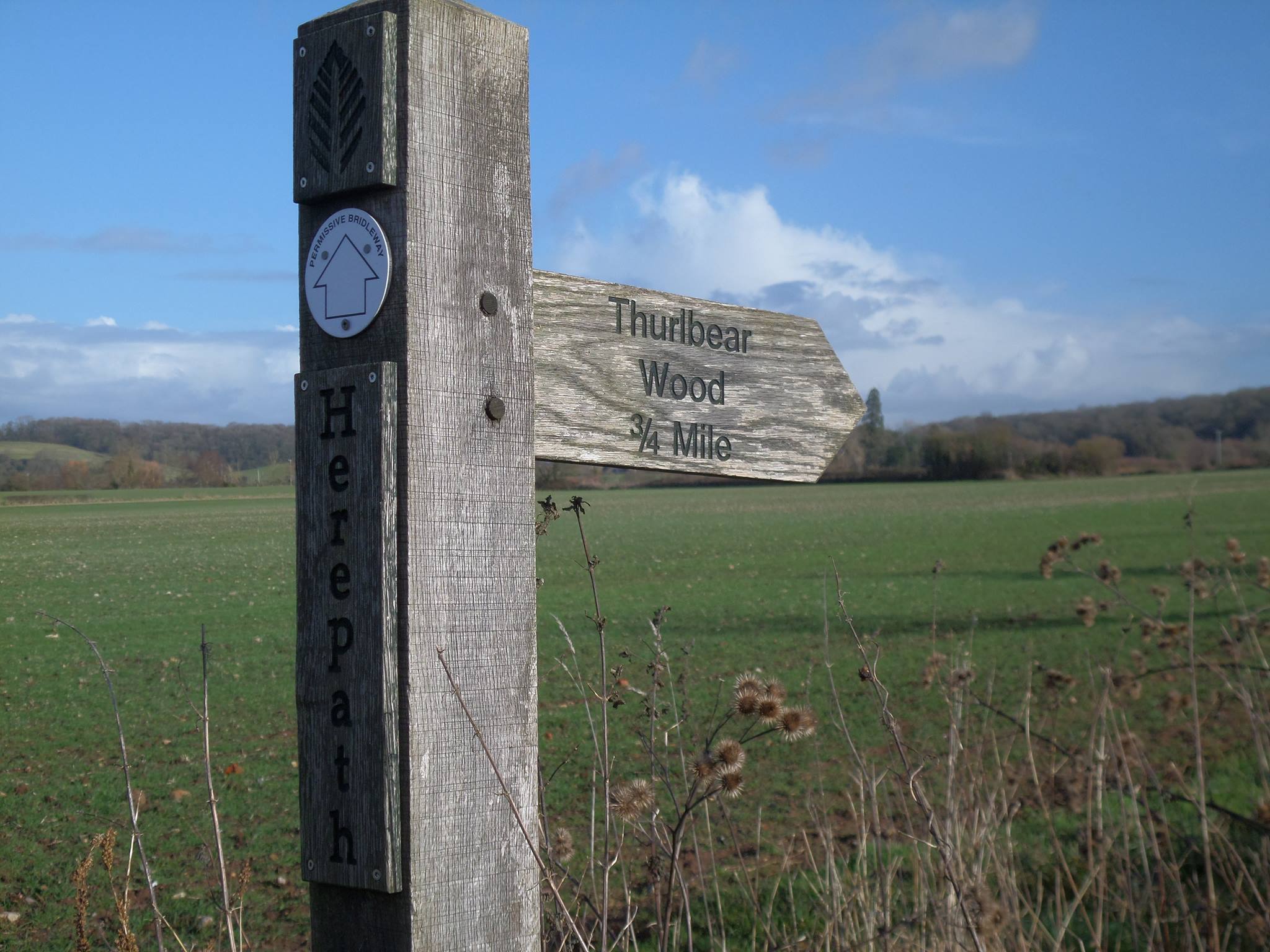 The Piddle Wood Plod 10k reviews | Racecheck