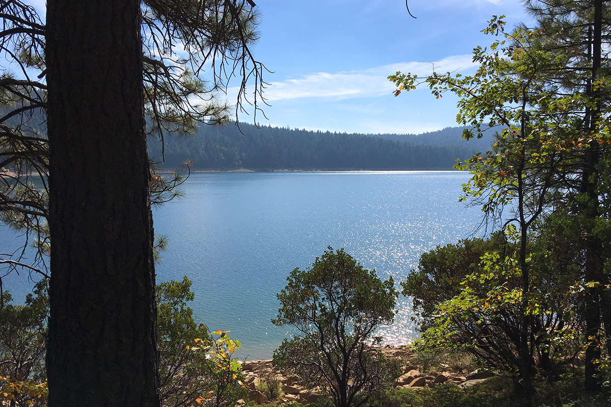 Trail Run at Sly Park - Fall reviews | Racecheck