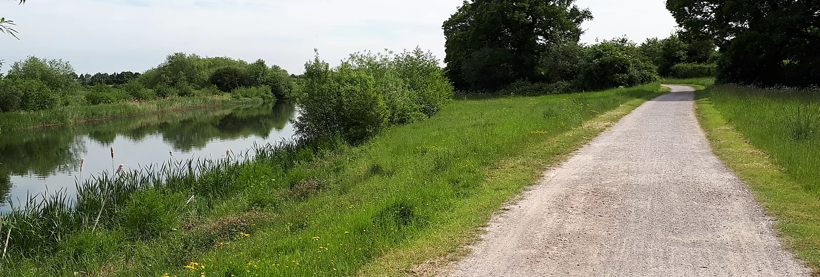 Decades Dash 70's reviews | Racecheck