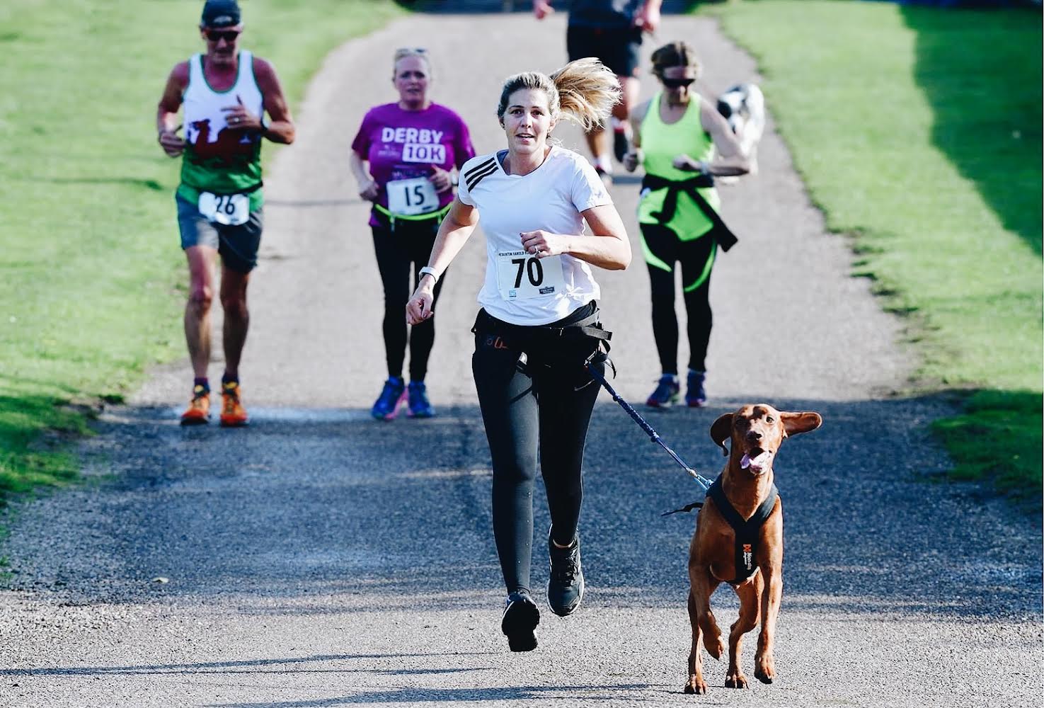 Staunton Harold Running Festival reviews | Racecheck